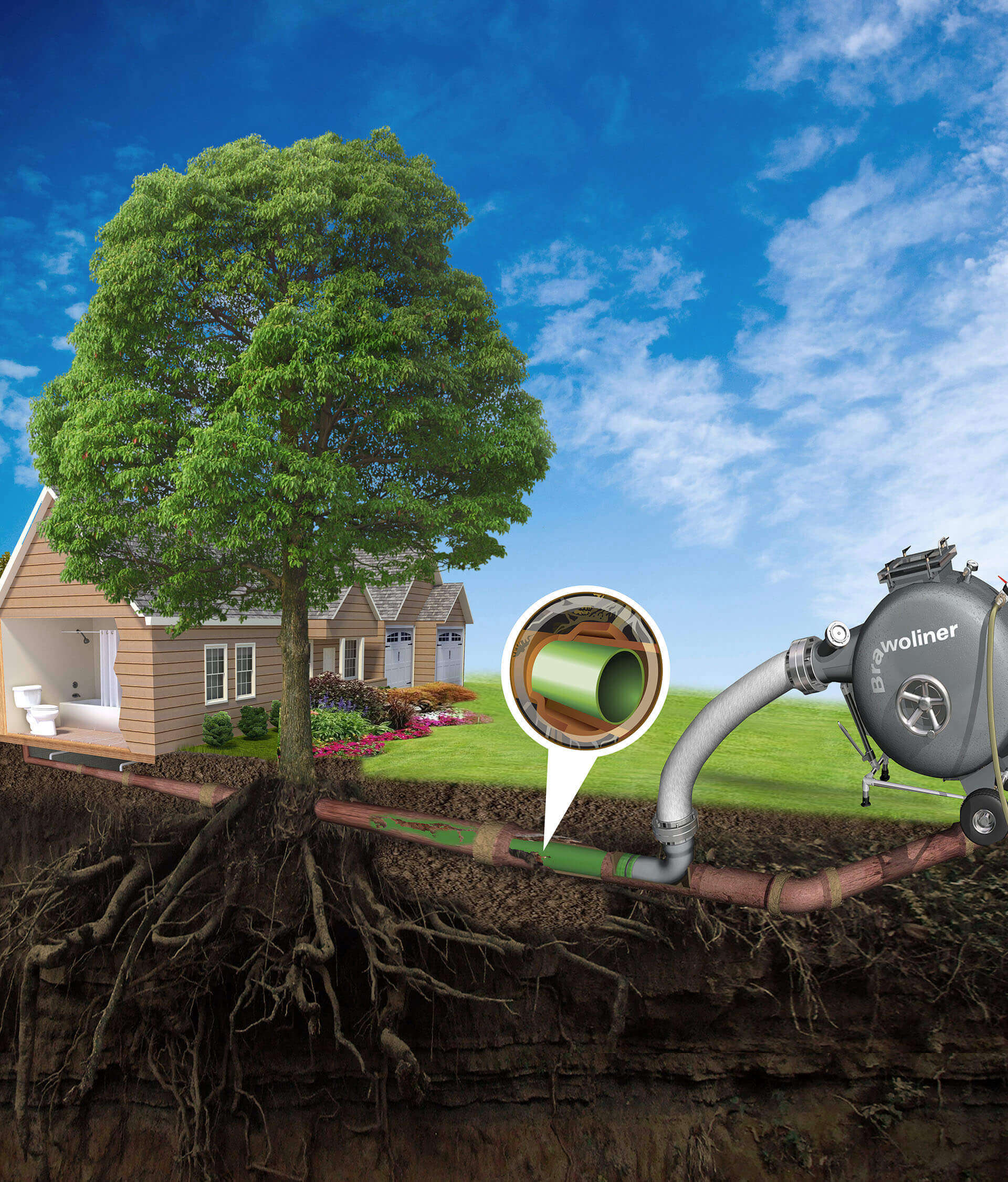 The #1 Way to Deal with Tree Roots in Your Sewer Pipes